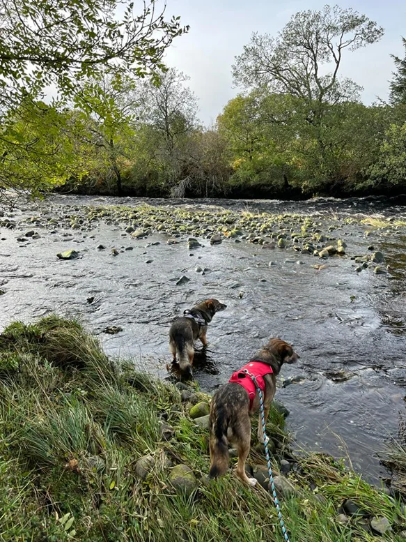 Volunteer Blog, Southern Upland Way: The Preamble – DG Trails