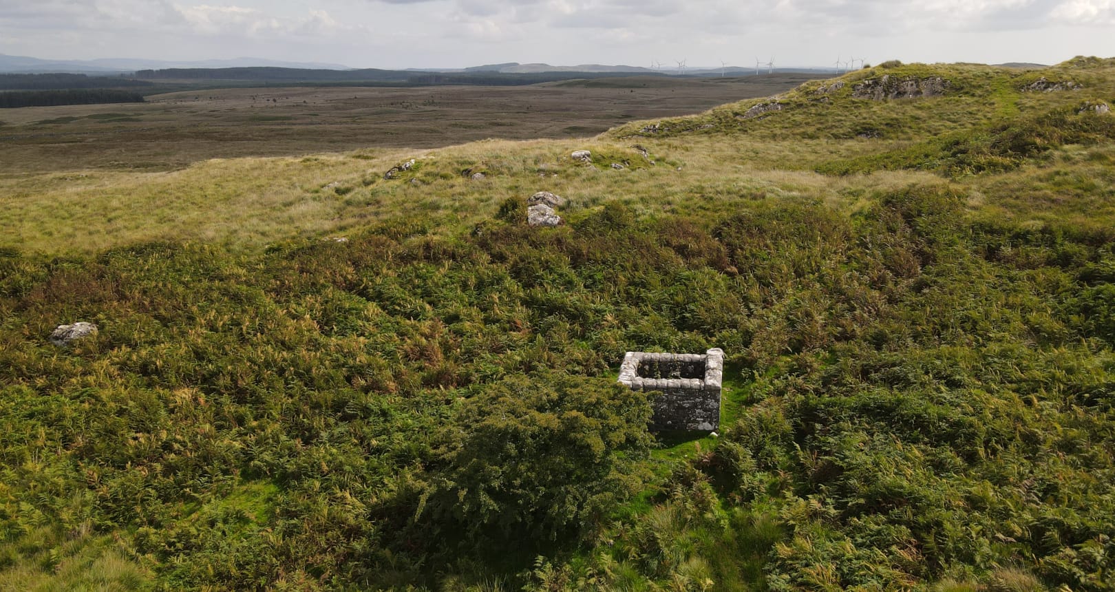 Linns Tomb – DG Trails