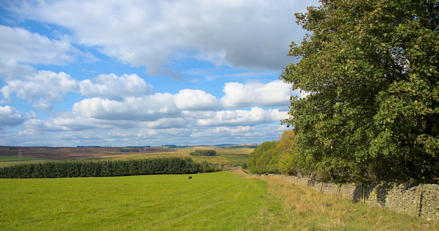 10 Melrose to Lauder – DG Trails