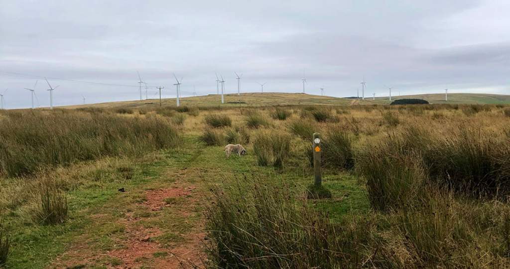 11 Lauder to Longformacus – DG Trails